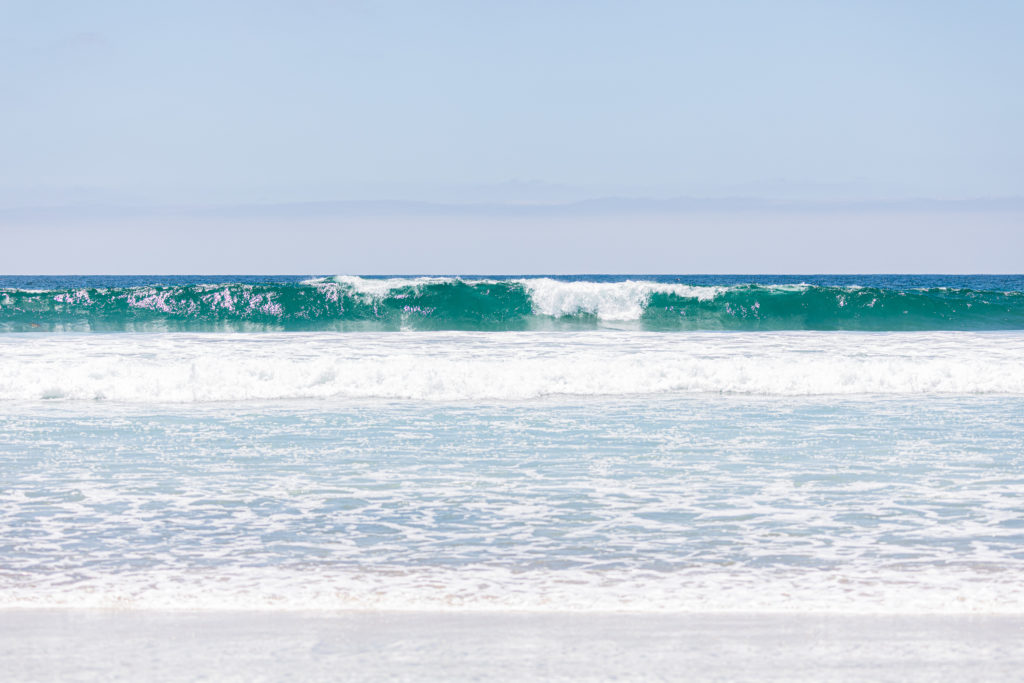 Photography | Pro Tip #1 | Horizon Lines | catherinefeldmanphotography.com